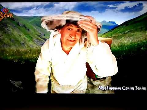 Öğretmenim Canım Benim Arı