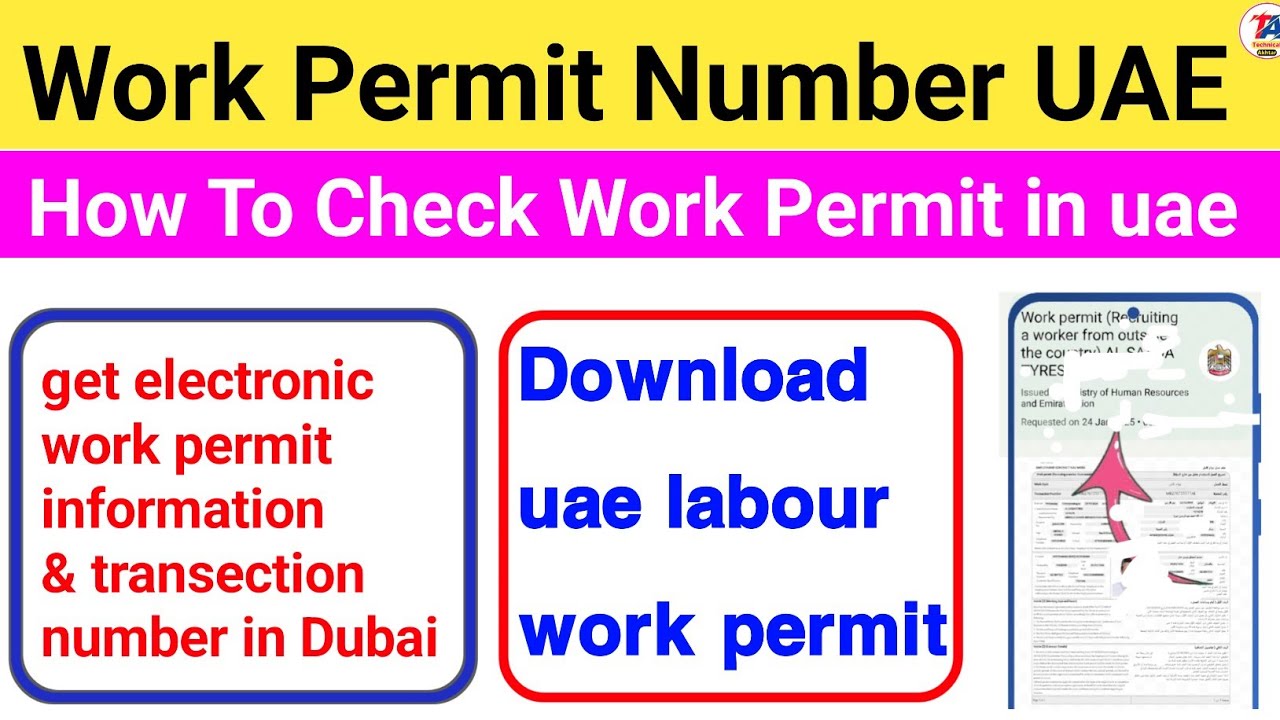 Work permit number UAE | How to check work permit number in uae - YouTube