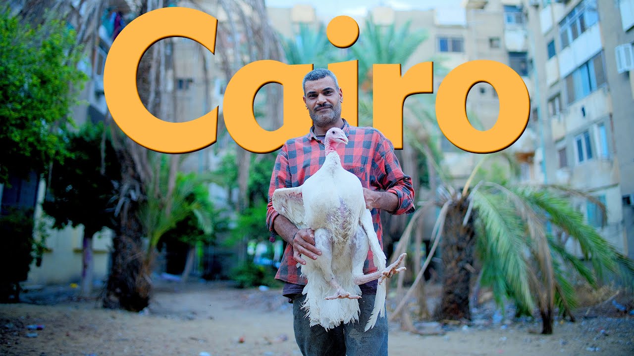 Walk in CAIRO | EGYPT 🇪🇬 - 4K HDR CAIRO EGYPT - YouTube