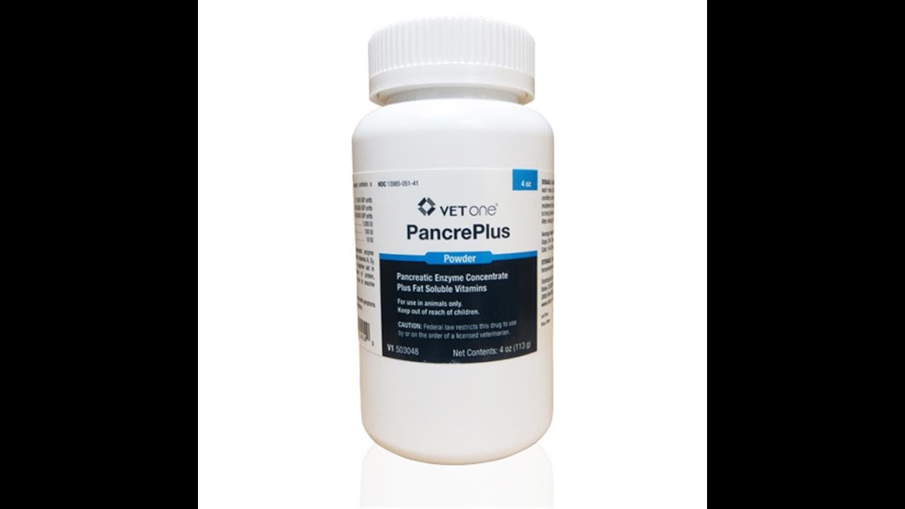 PancrePlus Powder - YouTube