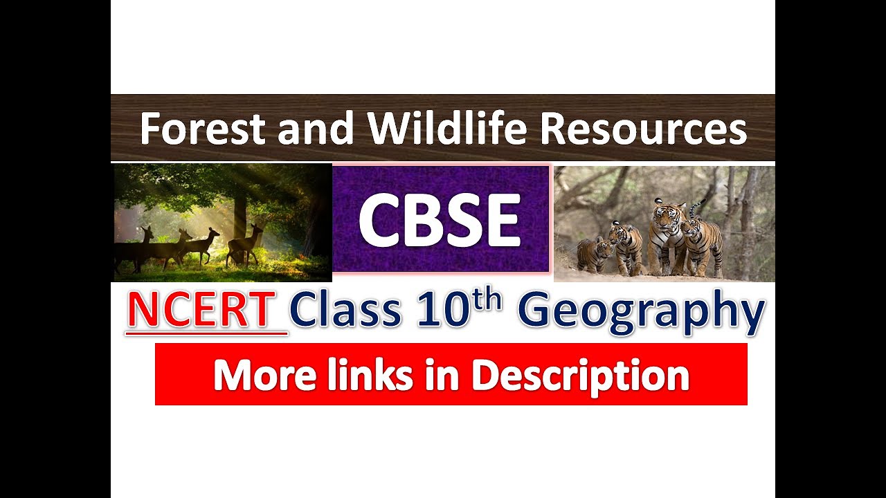Forest and Wildlife Resources | CBSE | Chapter 2 Geography | NCERT ...