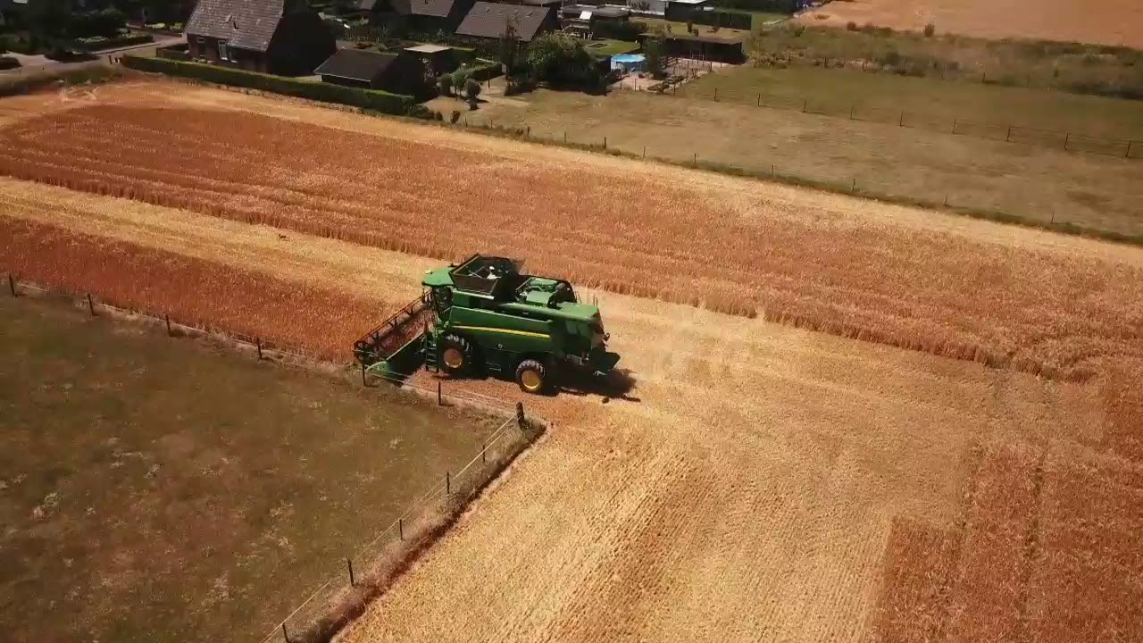 Graan oogsten in Didam. - YouTube