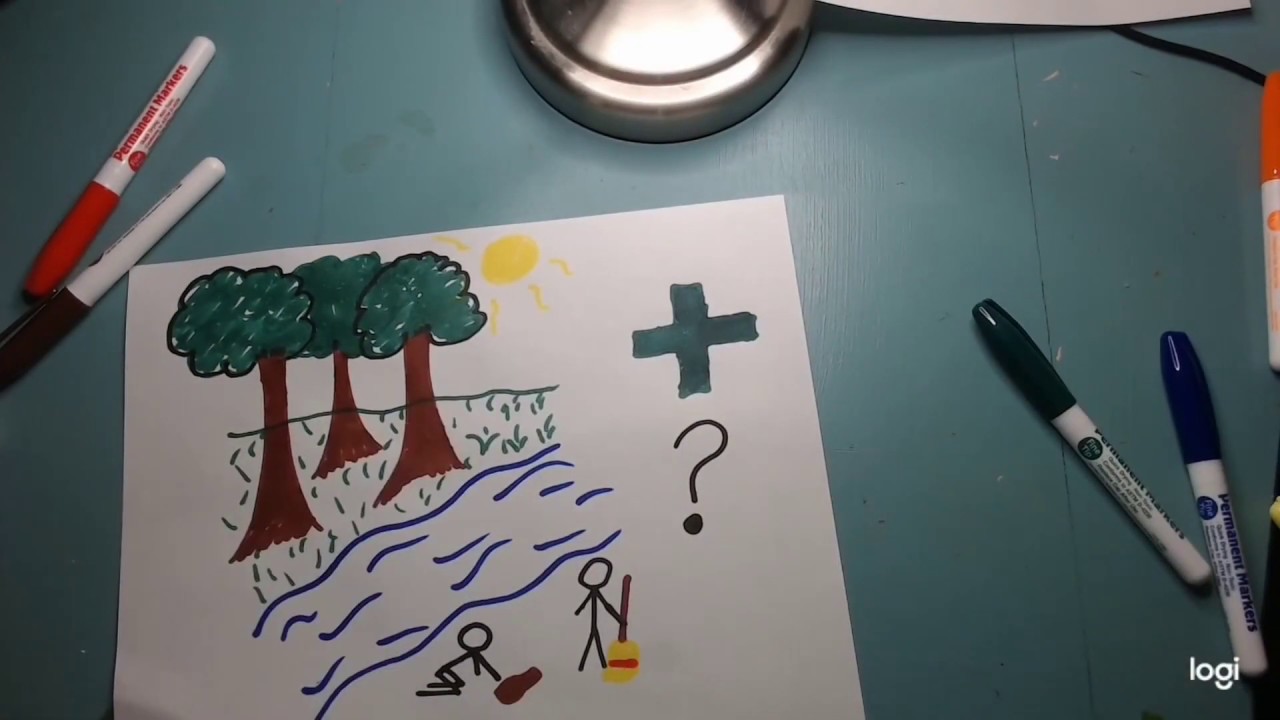 Conservation 101 - What Makes A Stream Healthy? - YouTube