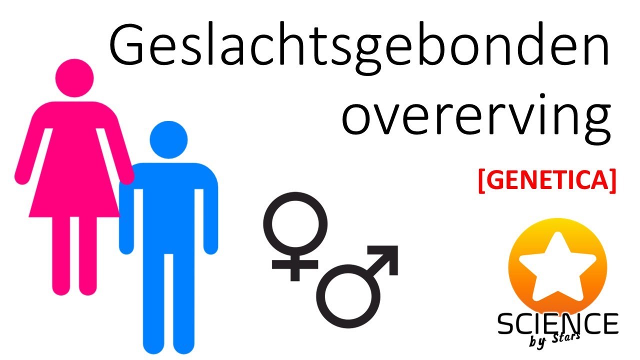 Geslachtsgebonden overerving [ GENETICA ] - YouTube