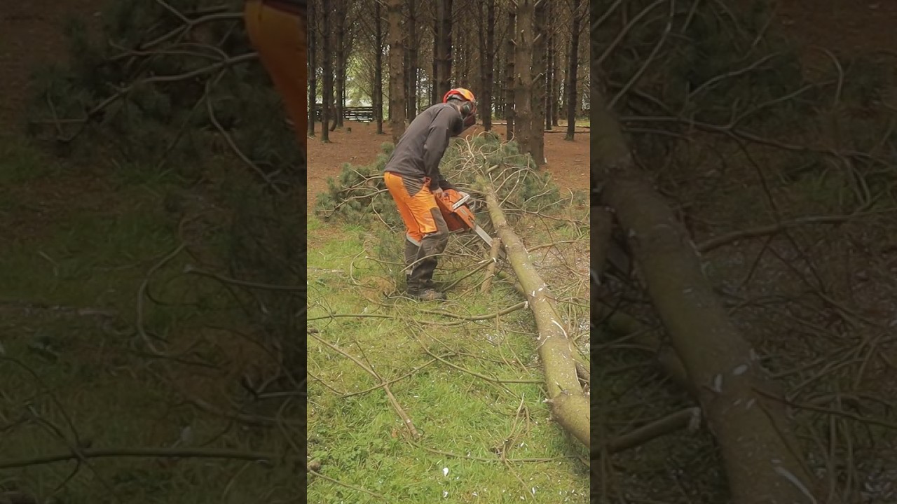 Not A Professional 21 - YouTube