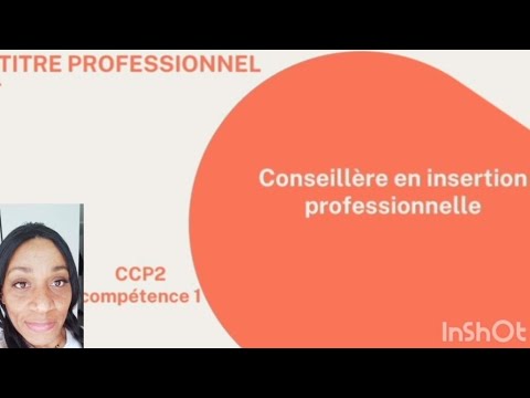 CCP2 CIP, compétence 1 (entretien contractualisation, plan d'action et suivi) - YouTube