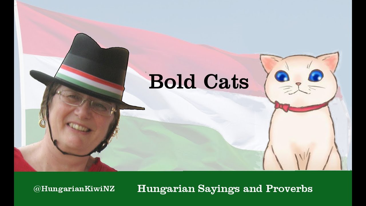 Hungarian Sayings - Bold cats? - YouTube