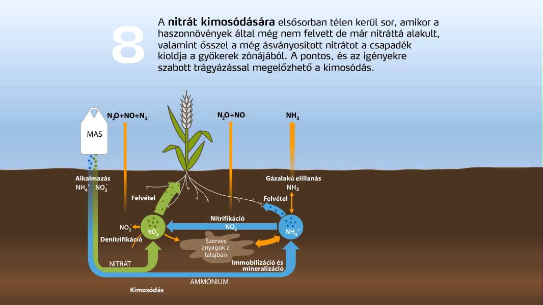 Yara - A nitrogénműtrágya hasznosulása a talajban - YouTube