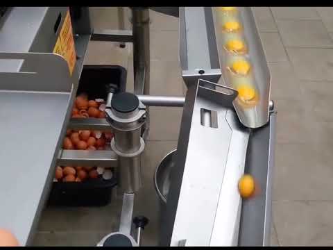 Yumurta Kırma ve Ayırma makinesi