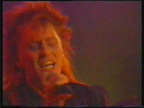 Boycott - Gotta Rock