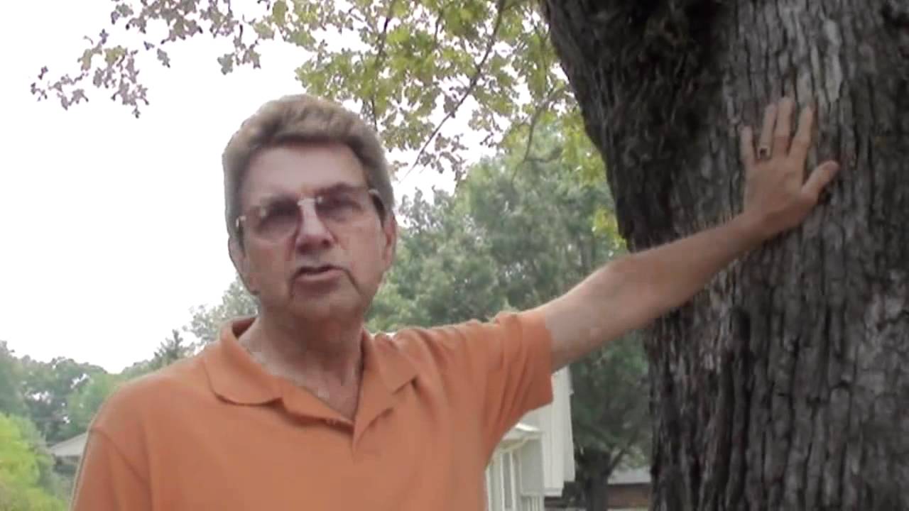 DR. Grady Hicks (Strength) - YouTube