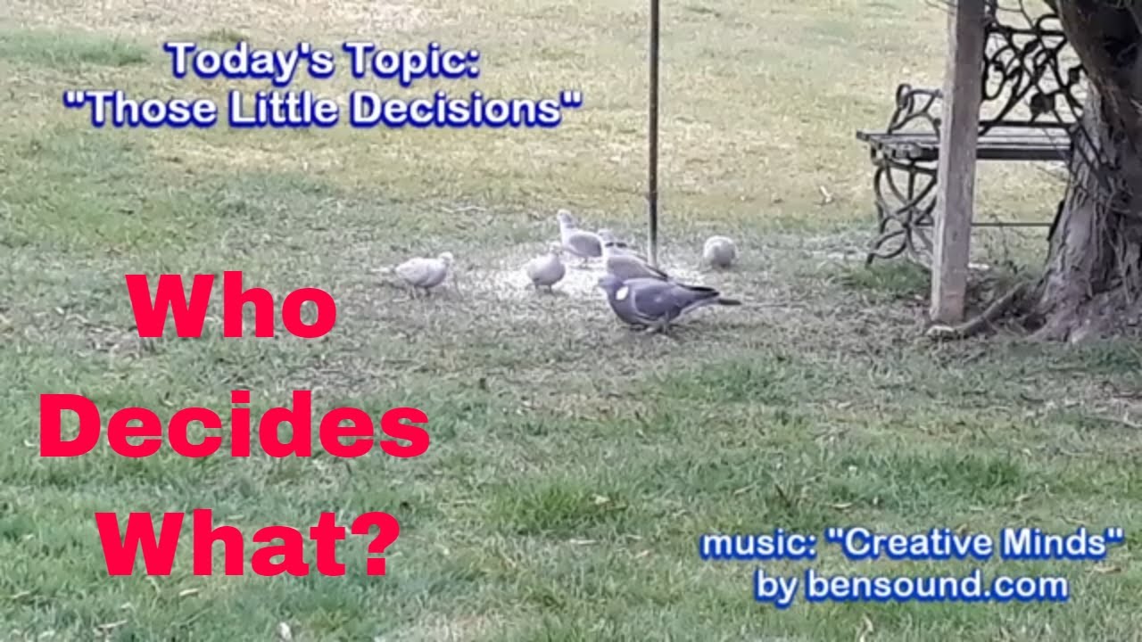 Couples: "Who Decides What? with Judy and Larry ("from chapter 4 of "If ...