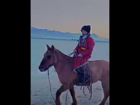 жаахан шарга - YouTube