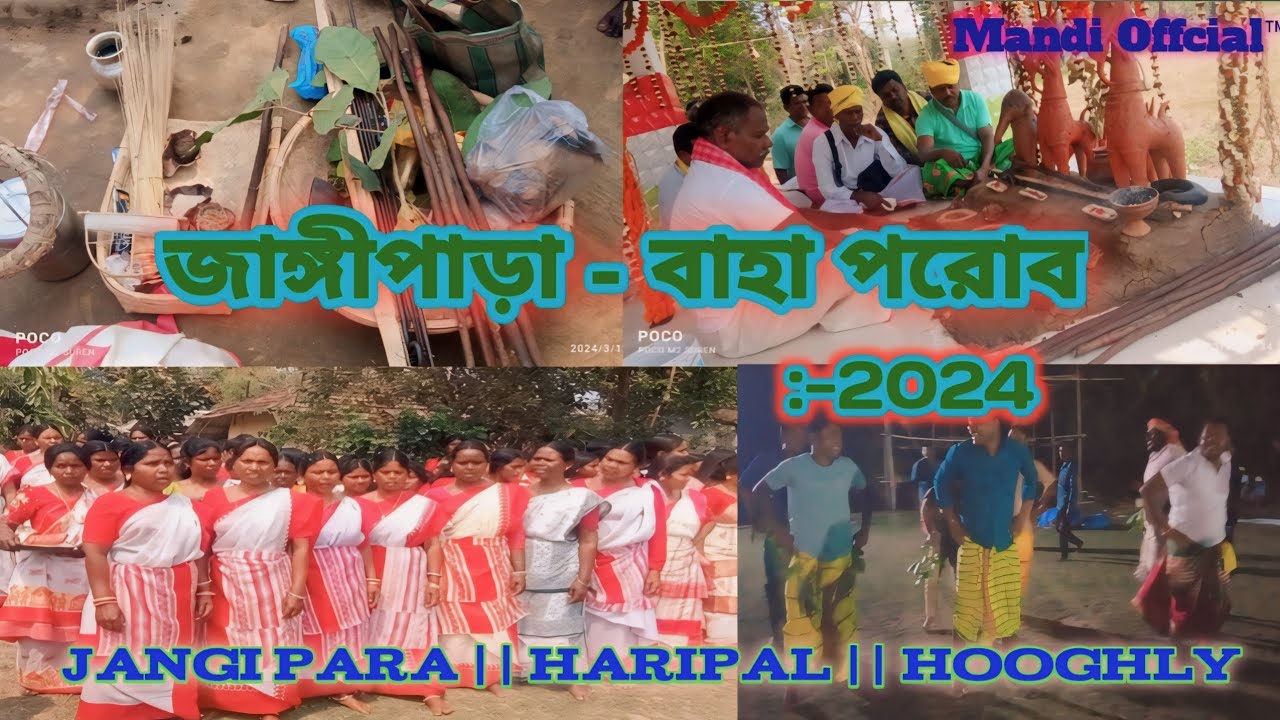Santali Festival Santali new Baha parab video 2024 - YouTube
