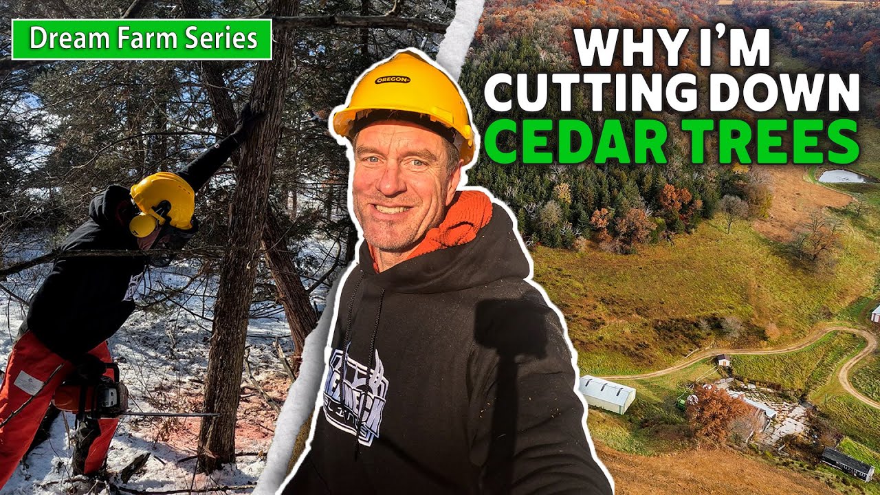 Why I'm Clearing Cedar Trees | Dream Farm w/ Bill Winke - YouTube