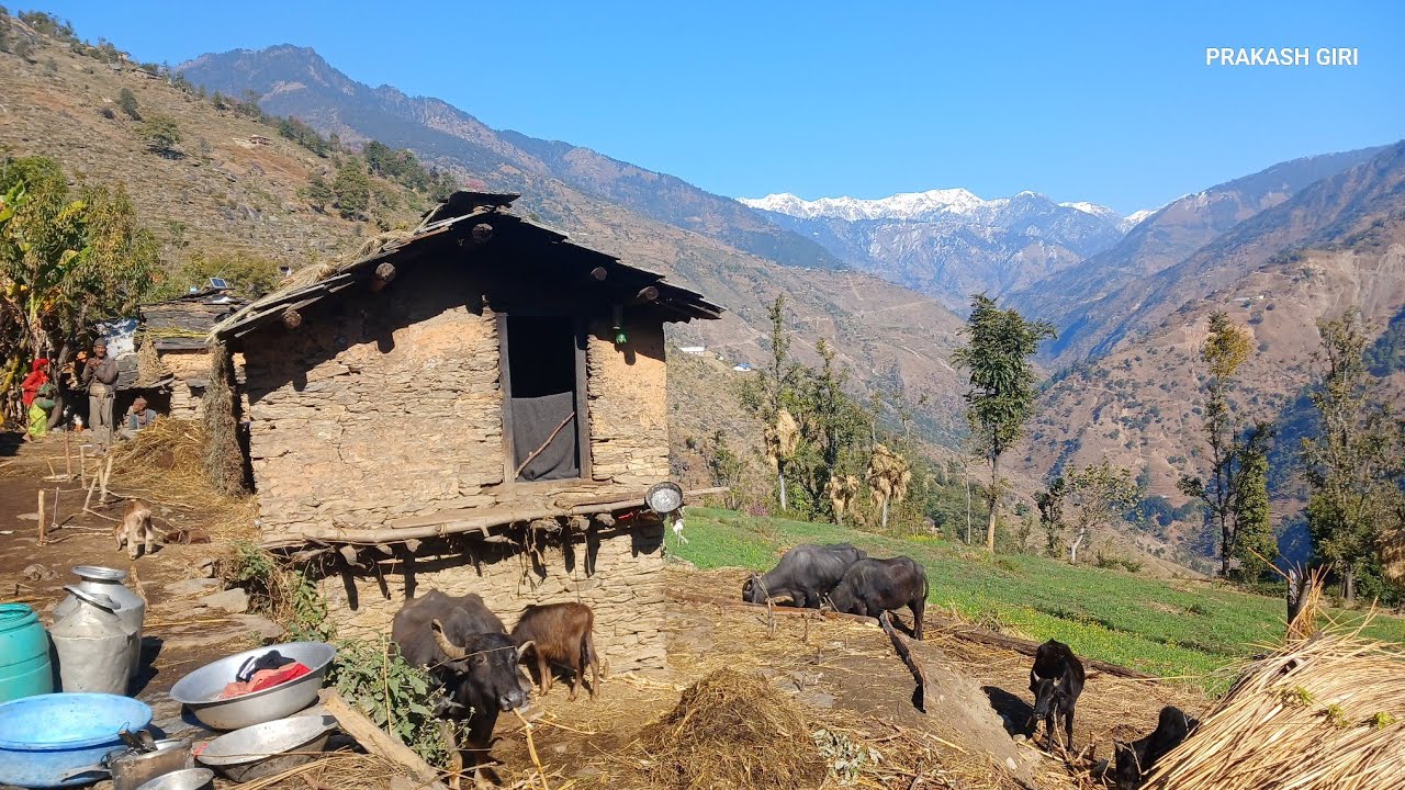 Most Beautiful and Beaceful Himalayan Mountain village lifestyle |Dely ...