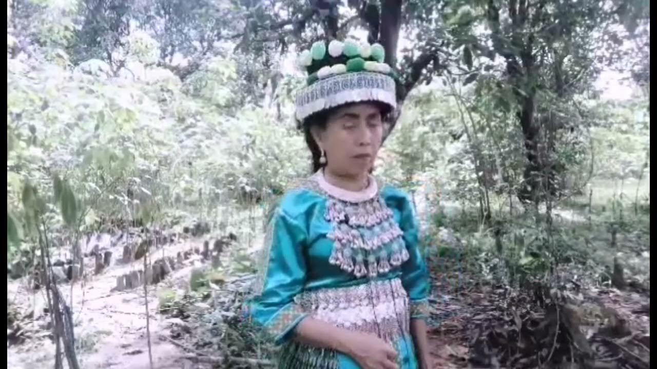 paj xyoob vaj hais txoj kwv txhiaj rau phaj thoj zoo heev 15/9/23 - YouTube