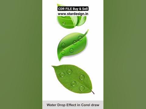 Water Drop Effect in Corel draw | How to Create Water Drop | Coreldraw ...