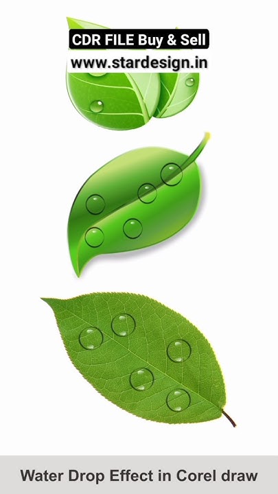 Water Drop Effect in Corel draw | How to Create Water Drop | Coreldraw ...