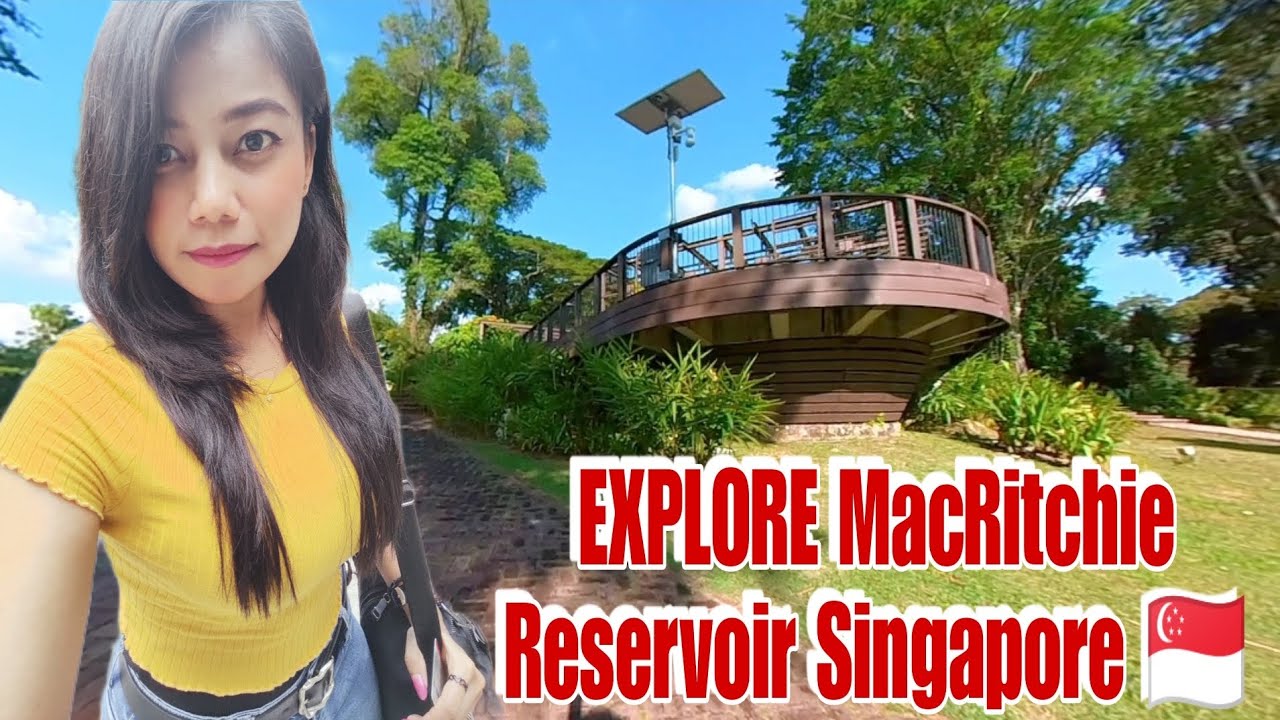 EXPLORE MACRITCHIE RESERVOIR SINGAPORE VLOG ICHA JOURNEY - YouTube