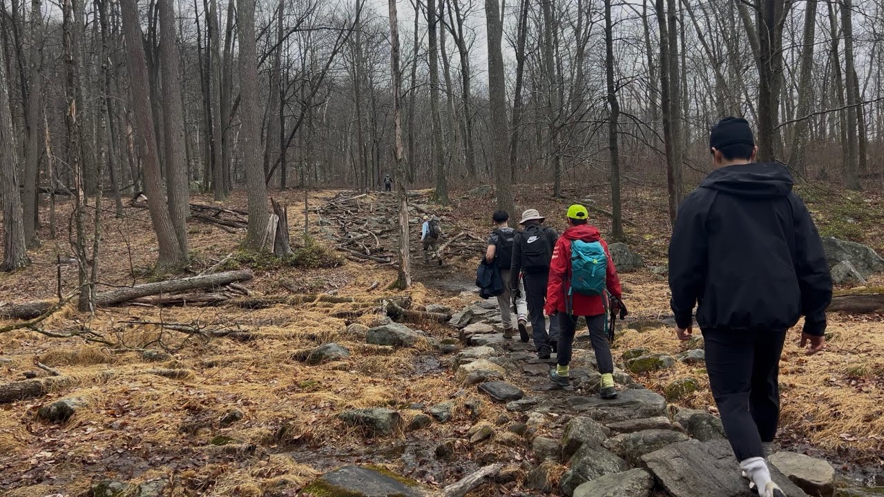 2025_3_ Pine Swamp Mountain and Hogencamp Mountain Loop _ NY - YouTube