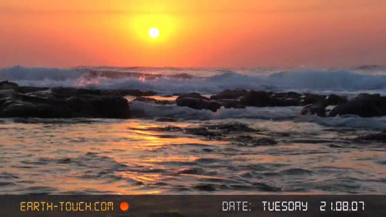 Trance & Nature 6 - YouTube