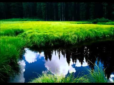 EternityTrailer