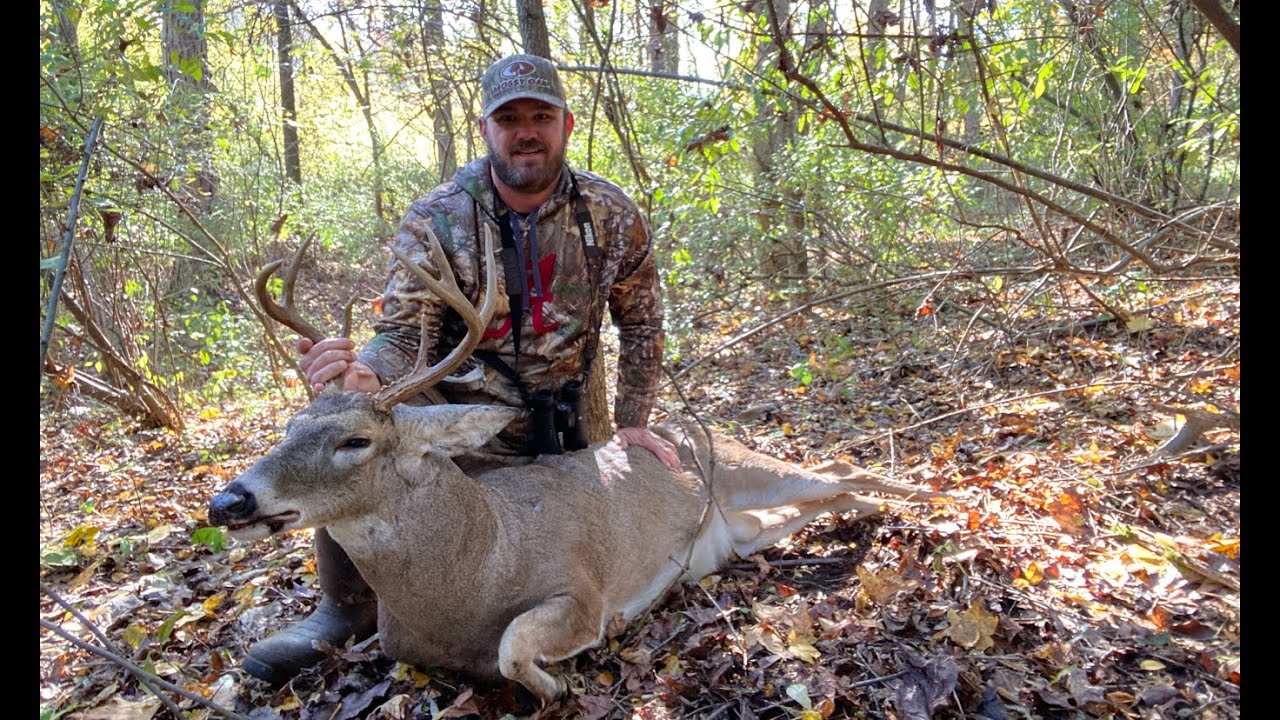 2020 Kentucky Deer Hunting. Buck Down. Bow Hunting - YouTube