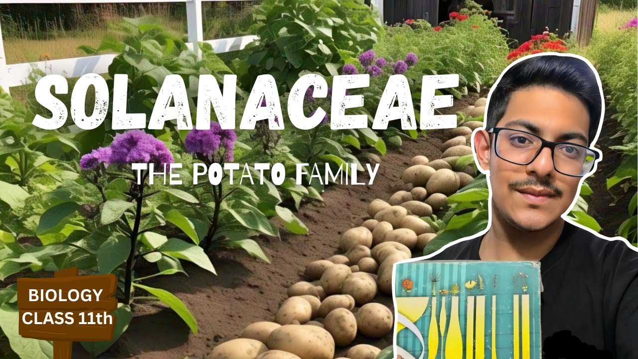 SOLANACEAE FAMILY in just 3 mins - YouTube