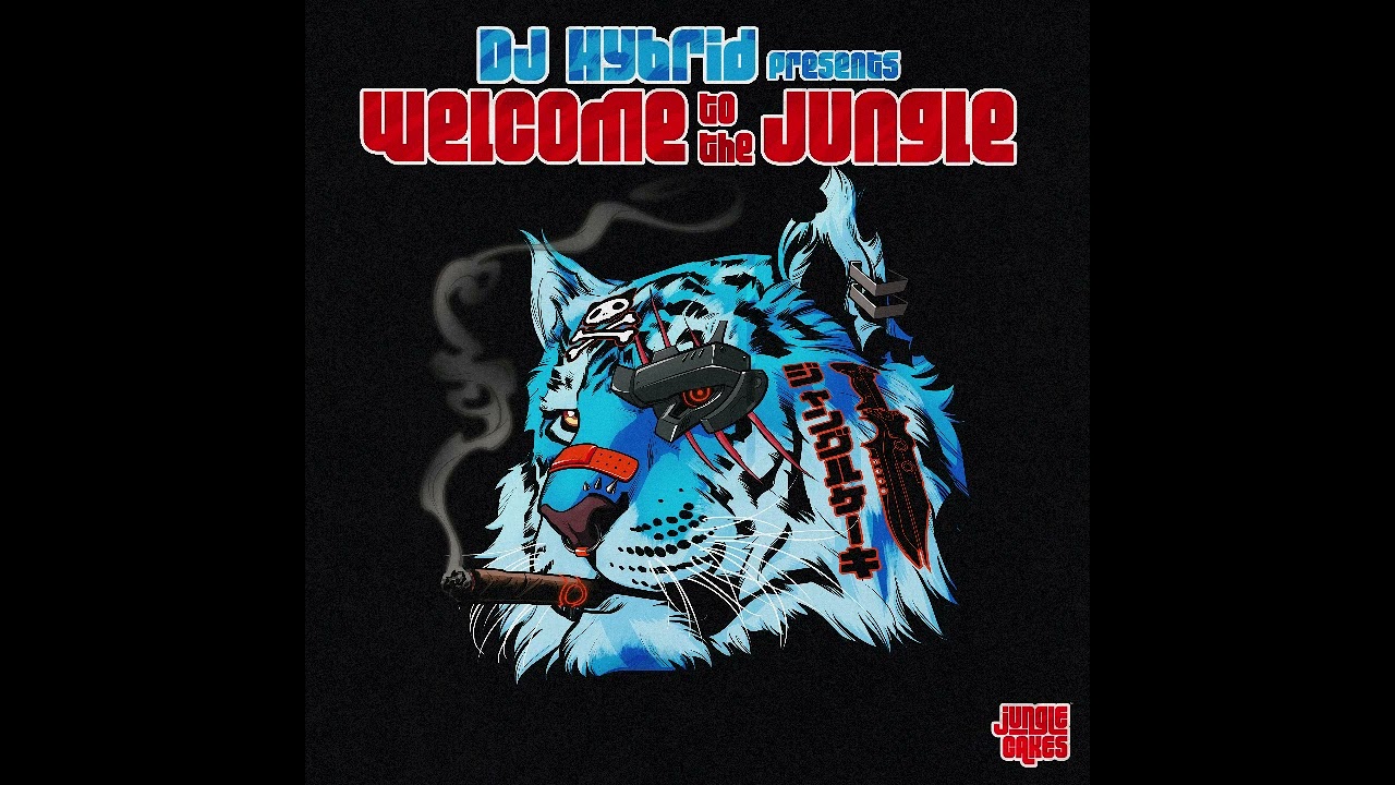 DJ Hybrid, Ed Solo - Back Out - YouTube