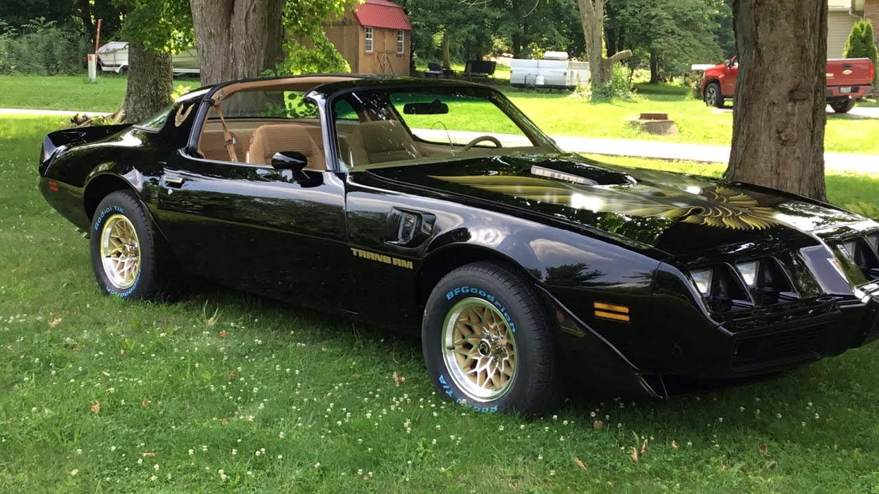 Trans am restoration more sanding, flexible primer update how to w72 ...