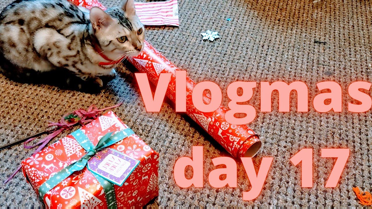 Vlogmas Day 17 Youtube