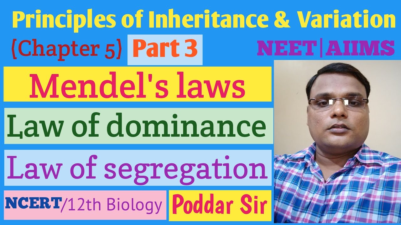 Mendel's Laws|Principles of Inheritance and Variation Class 12 Biology ...