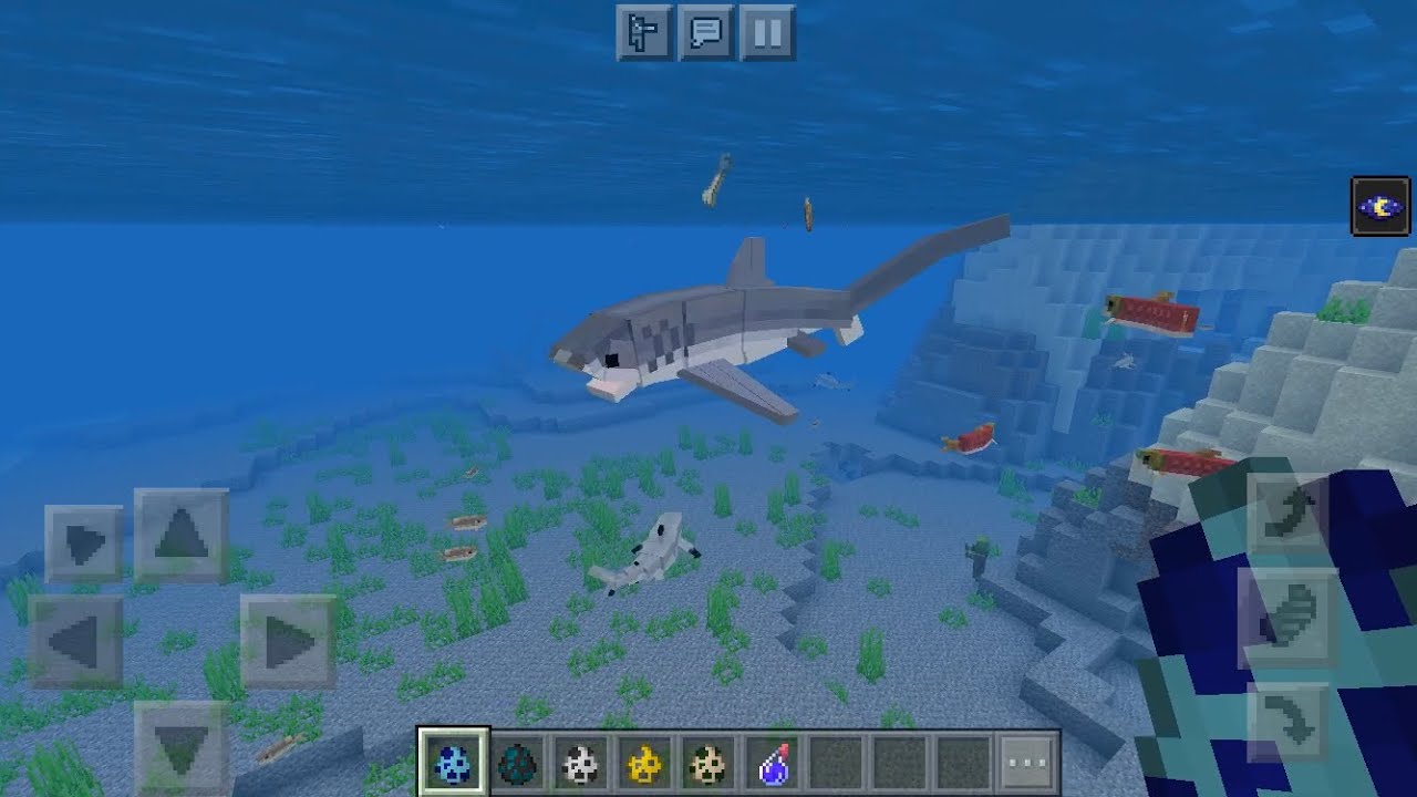Shark Biology Mod in Minecraft PE - YouTube
