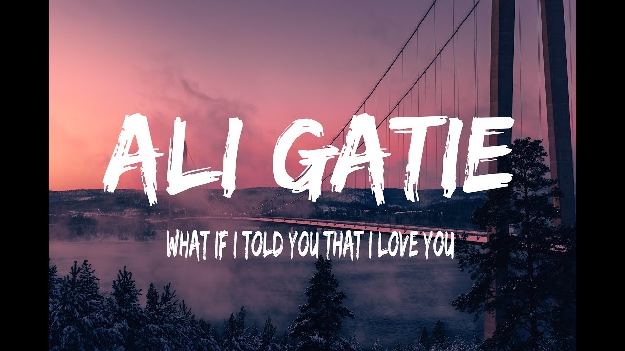 Ali Gatie - What If i Told You That i Love You (Lyrics) - YouTube