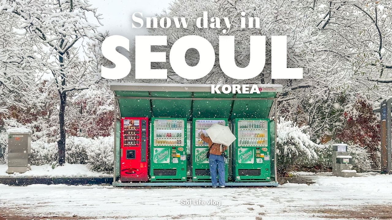 Snow day in Seoul, Korea | heaviest snowfall in 100 years, cosy days at home, winter morning ...