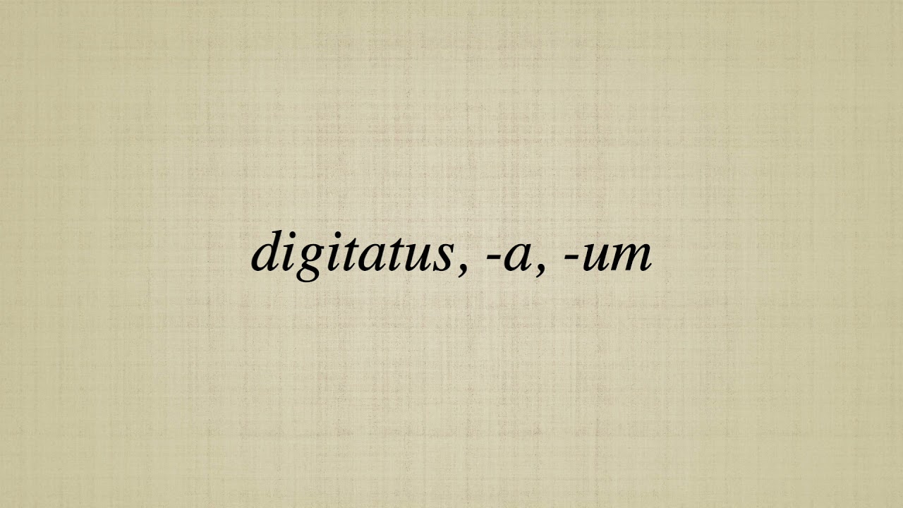 digitatus, a, um - YouTube