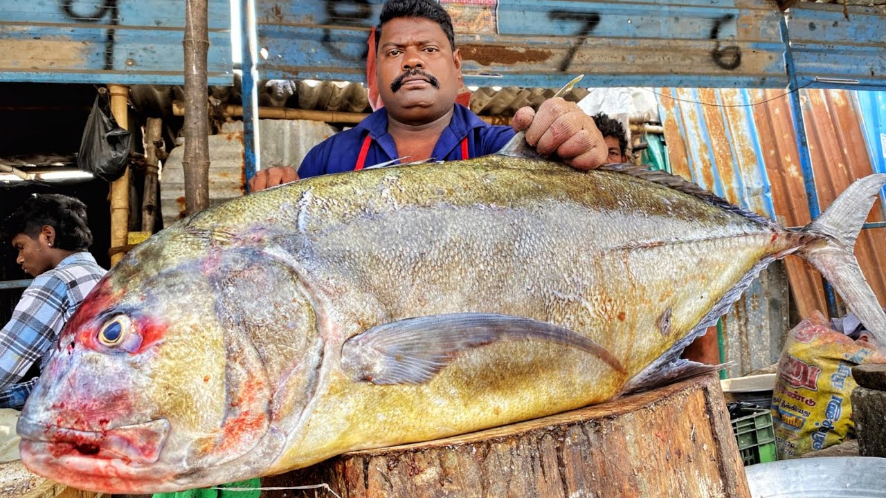 KASIMEDU 🔥 SPEED SELVAM | HUGE TRAVELLY FISH CUTTING VIDEO | 4K VIDEO ...