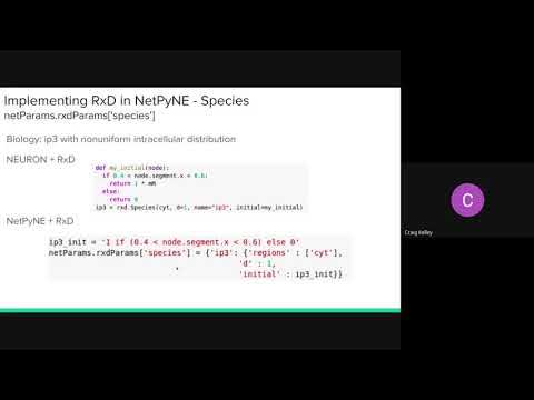 NetPyNE2021 23 NetPyNE and RxD - YouTube