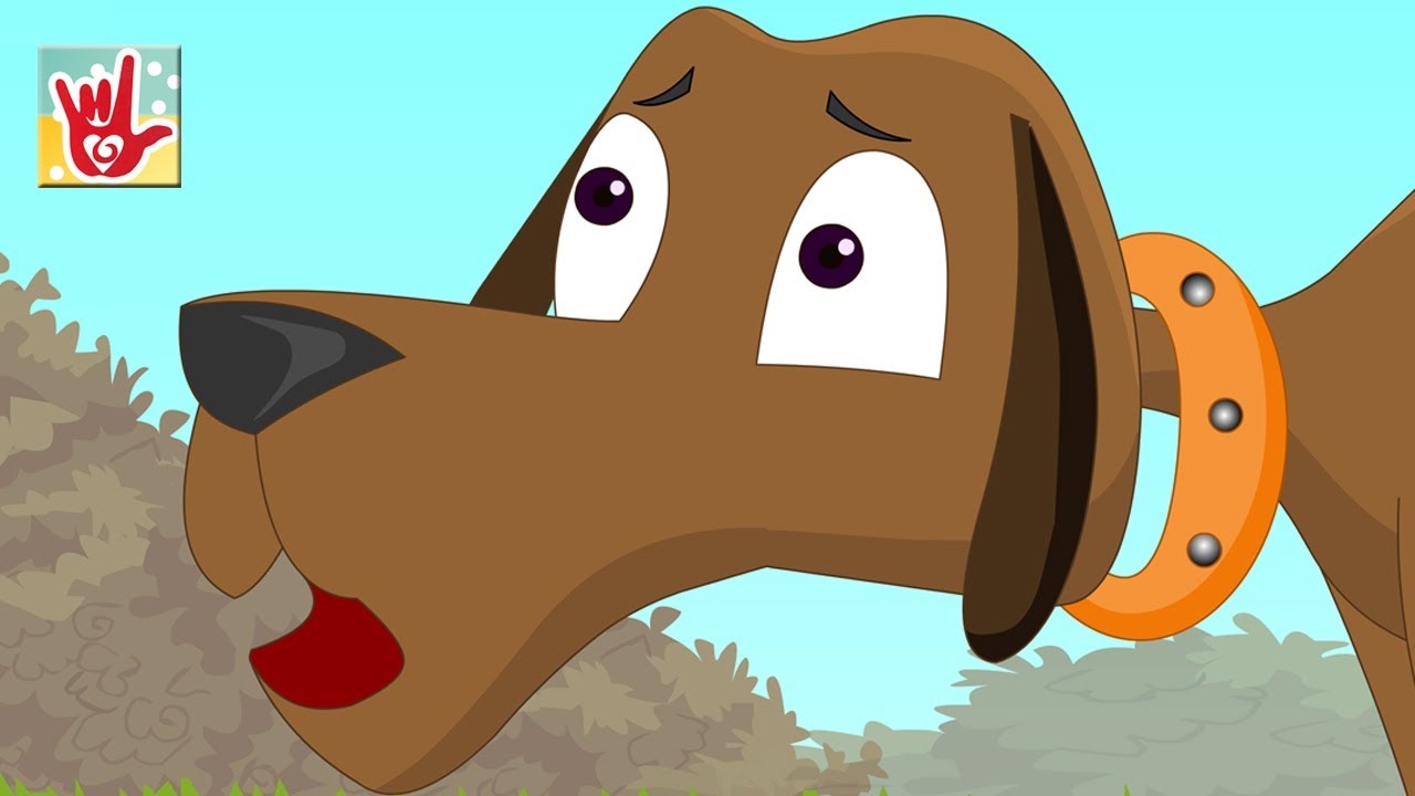 Short Stories In Sign Language | The Wolf & The Lean Dog | Sign ...