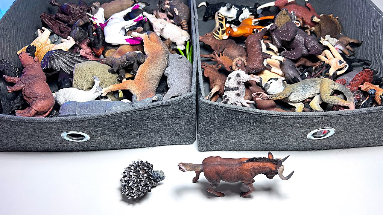 Wild Animals Collection - Wildebeest, Porcupine, Skunk, Primates ...