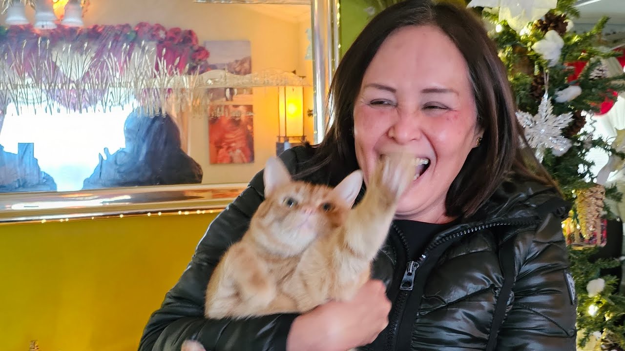 YOU ARE THE REASON - YouTube