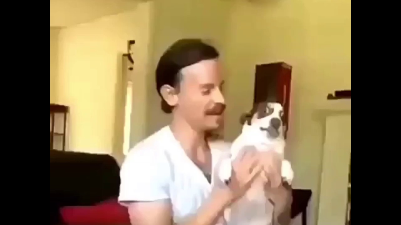 Distorted Dog Meme - YouTube