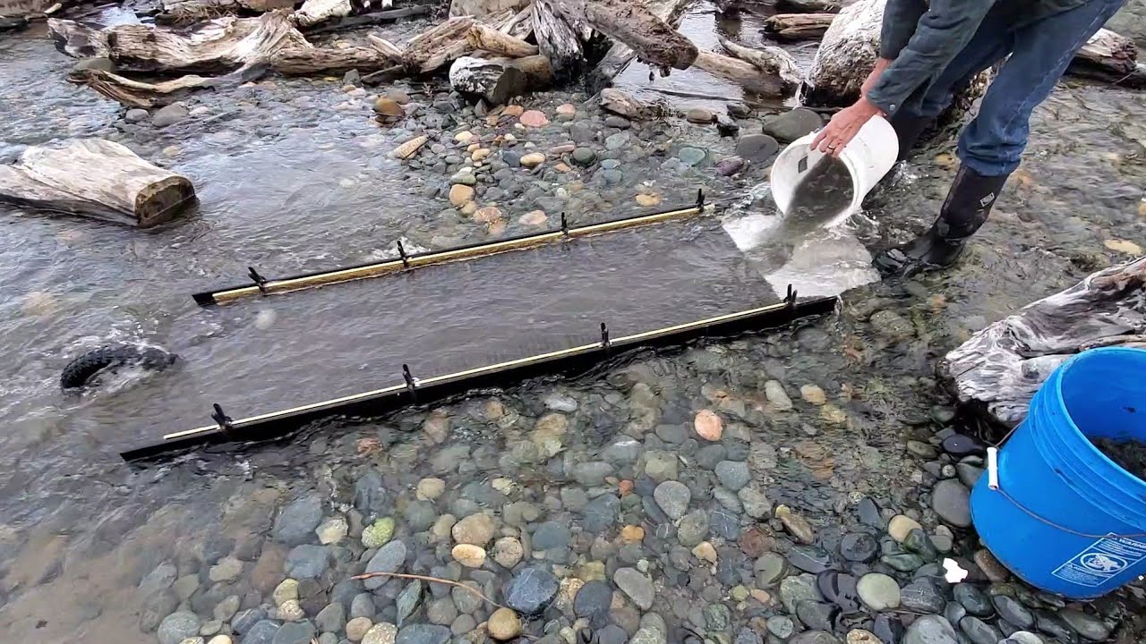 FLOUR GOLD Custom sluice , found the black-sand layer, Custom dug hole ...