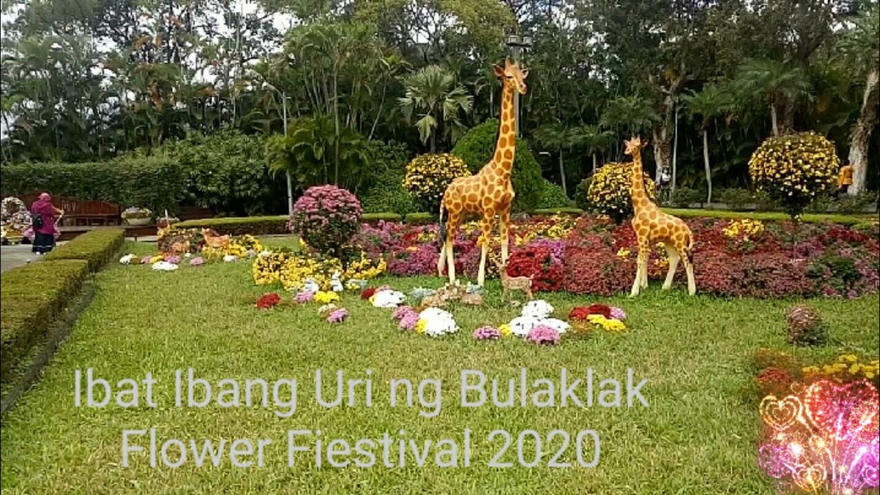 Ibat Ibang Uri ng Bulaklak Flower Fiestival 2020 - YouTube