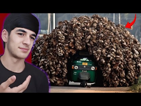 Qeyri Adi Şəkillər (Bu Nədi Belə!?)