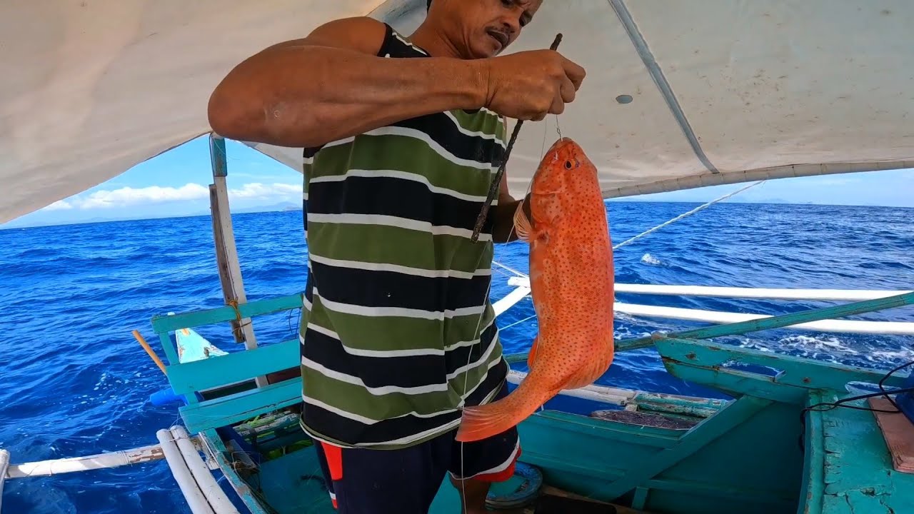pulang pula na grouper - YouTube