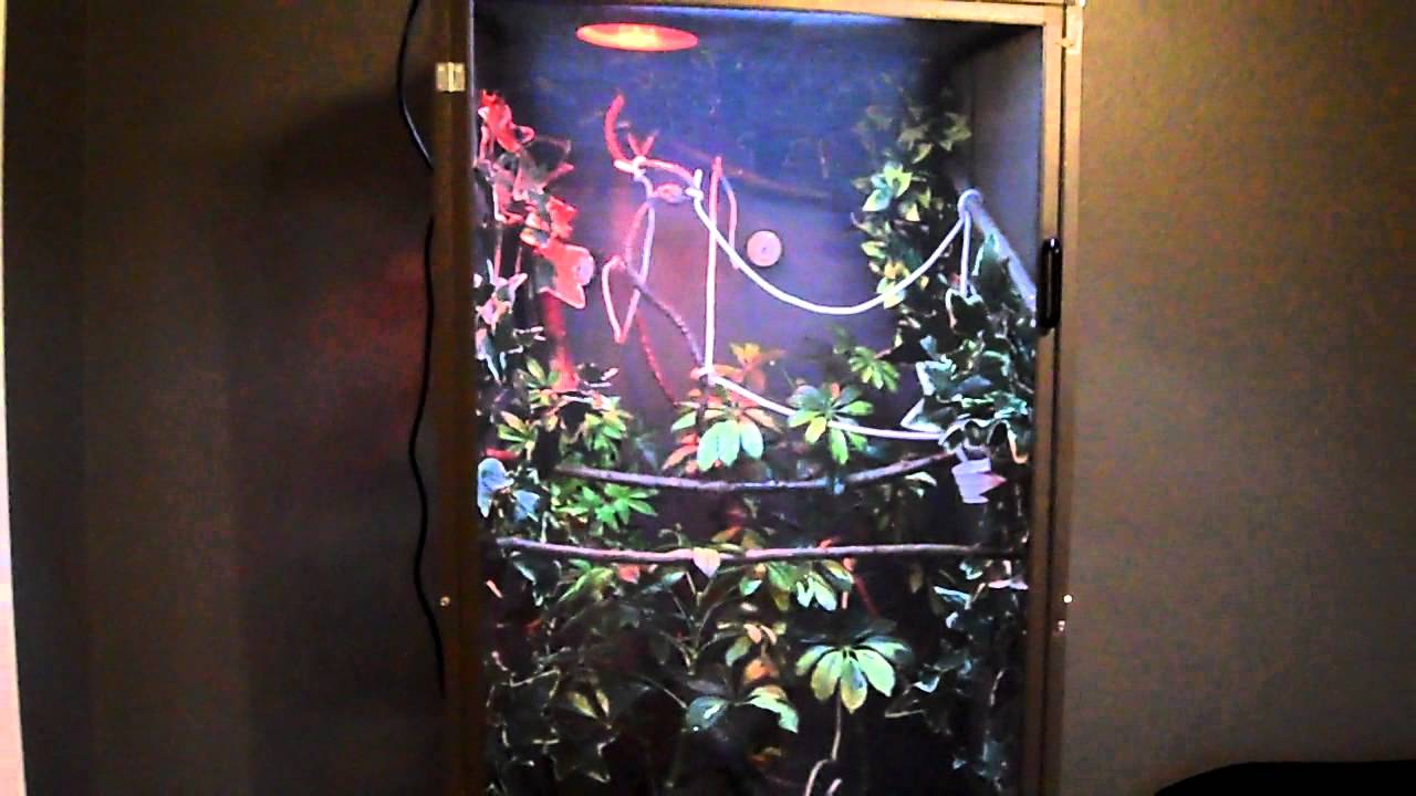 New chameleon Setup - YouTube