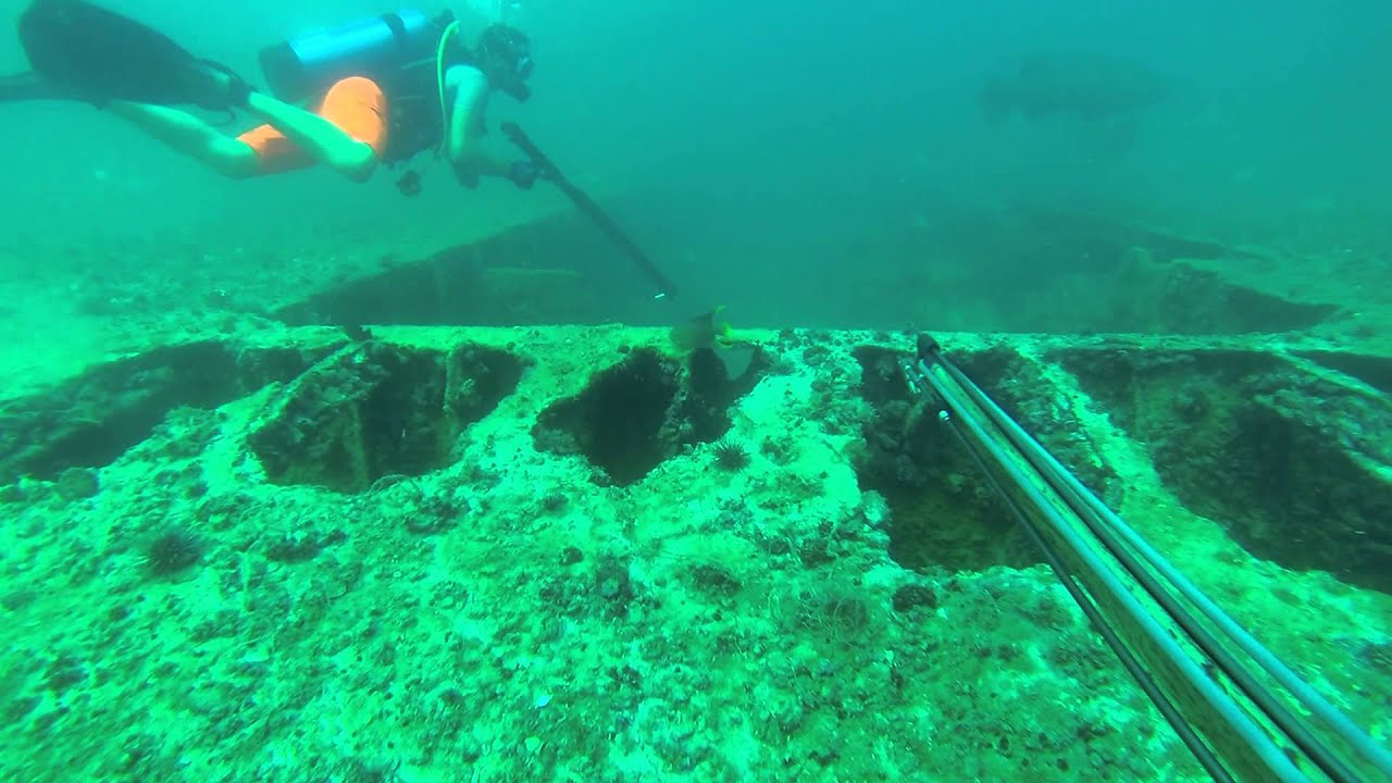 Goliath grouper school barge diving - YouTube