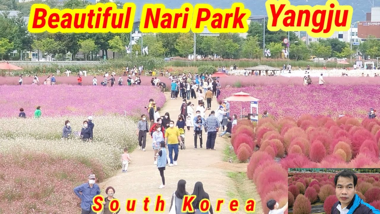 Beautiful Nari Park (yangju,south korea) - YouTube